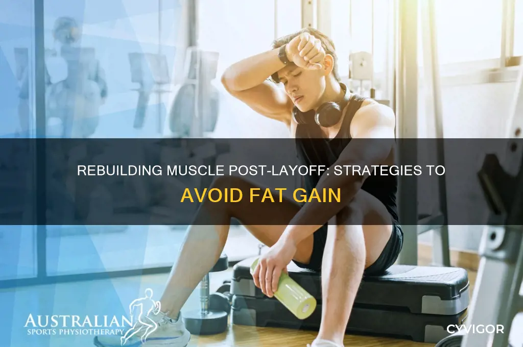 Rebuilding Muscle Post-Layoff: Strategies To Avoid Fat Gain | CyVigor