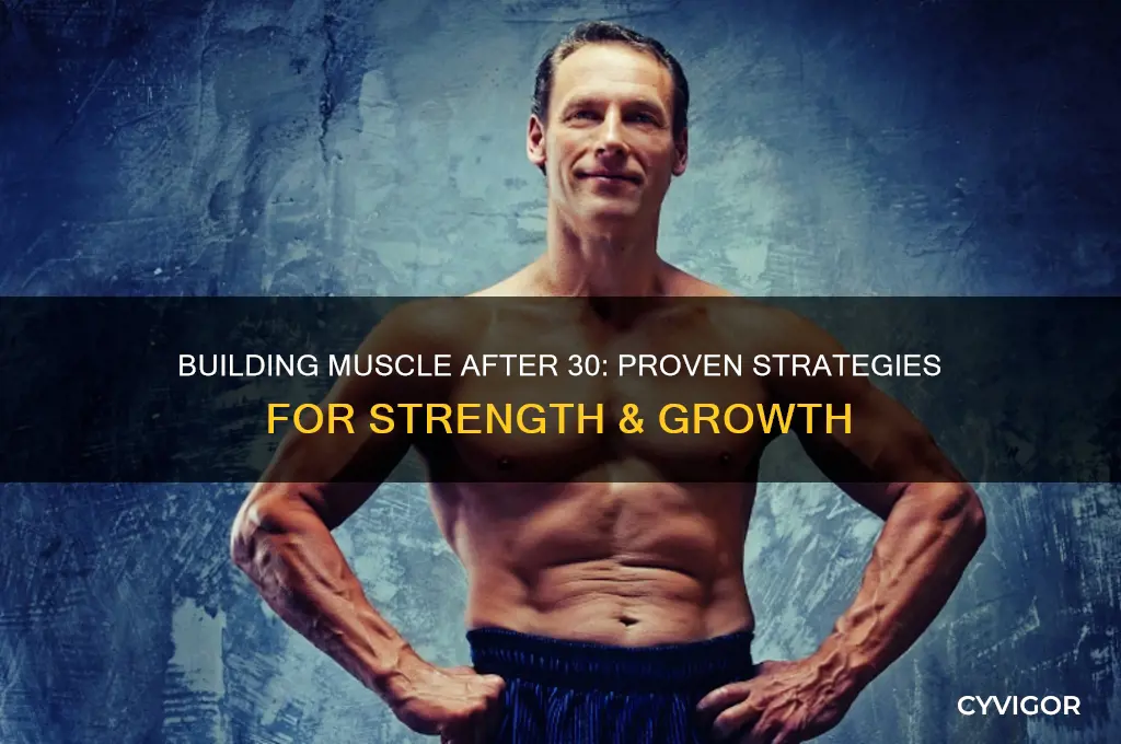 Building Muscle After 30: Proven Strategies For Strength & Growth | CyVigor