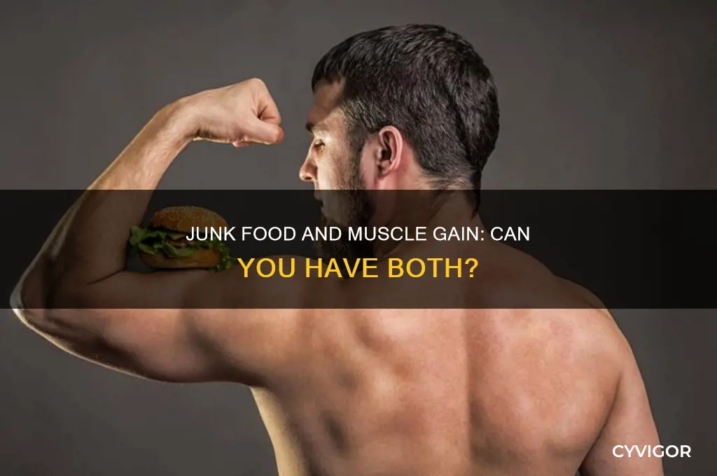 Junk Food And Muscle Gain: Can You Have Both? | CyVigor