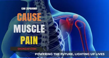 Z-Pack Side Effects: Muscle Pain Explained | CyVigor