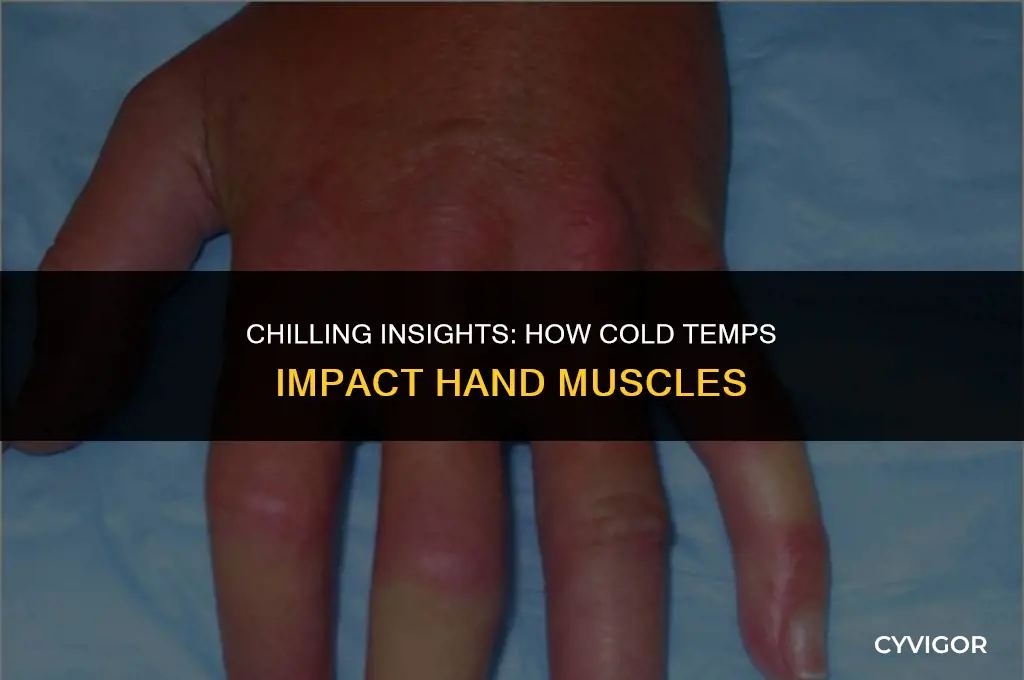 Chilling Insights: How Cold Temps Impact Hand Muscles | CyVigor