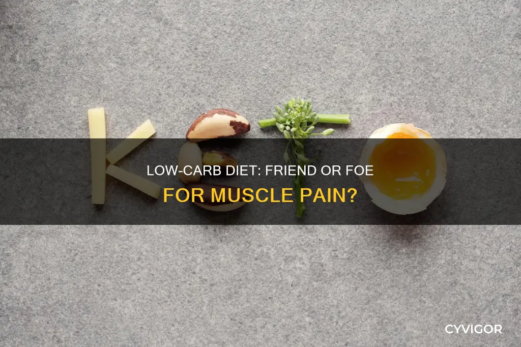 Low-Carb Diet: Friend Or Foe For Muscle Pain? | CyVigor