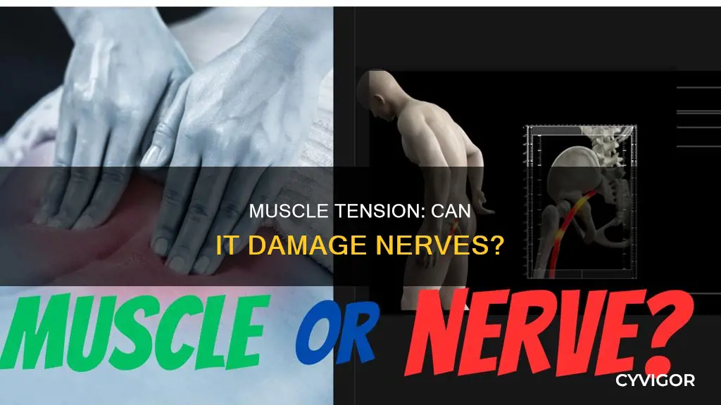 Muscle Tension: Can It Damage Nerves? | CyVigor
