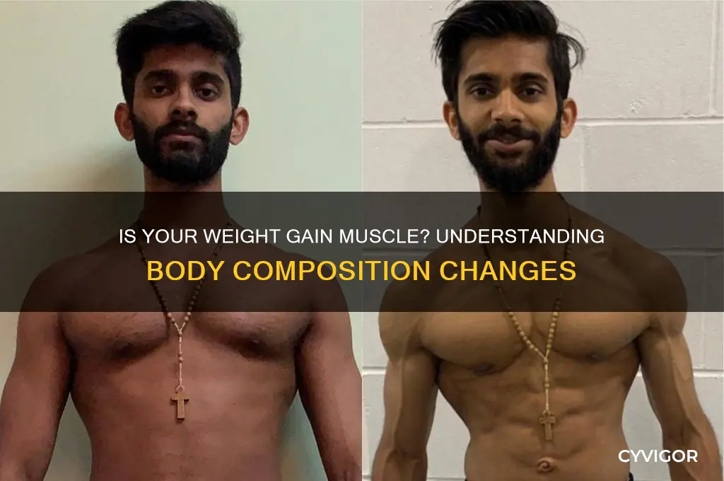 Is Your Weight Gain Muscle? Understanding Body Composition Changes ...