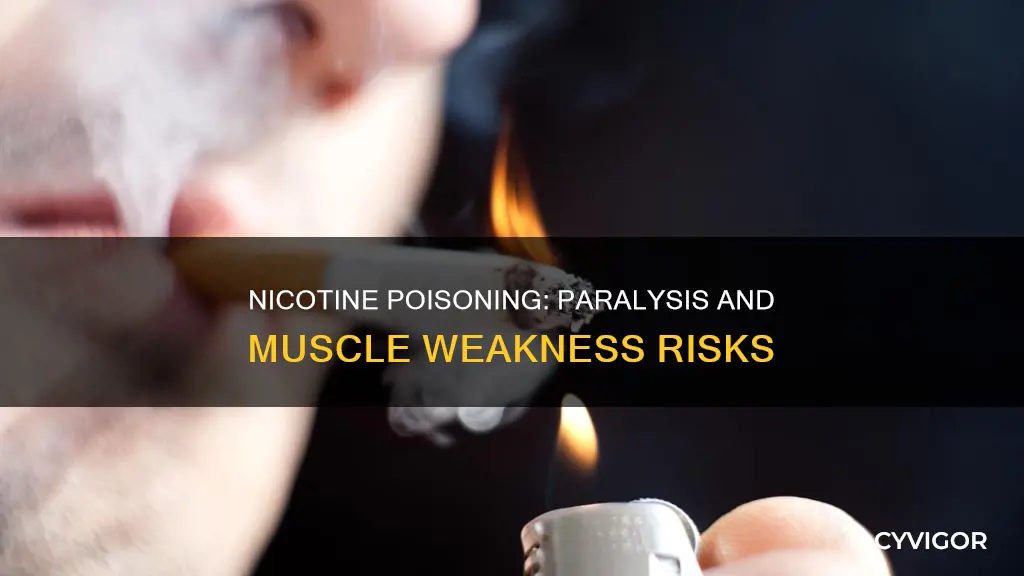 Nicotine Poisoning: Paralysis And Muscle Weakness Risks | CyVigor
