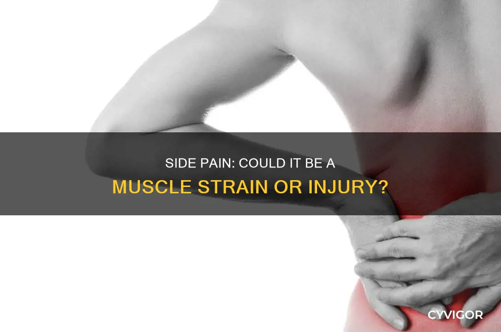 Side Pain: Could It Be A Muscle Strain Or Injury? | CyVigor