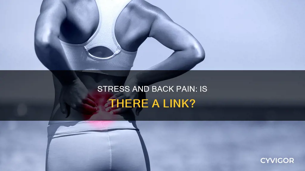 Stress And Back Pain: Is There A Link? | CyVigor