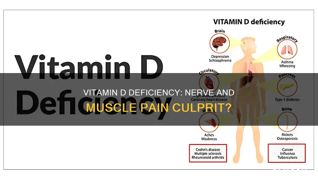 Vitamin D Deficiency: Nerve And Muscle Pain Culprit? | CyVigor