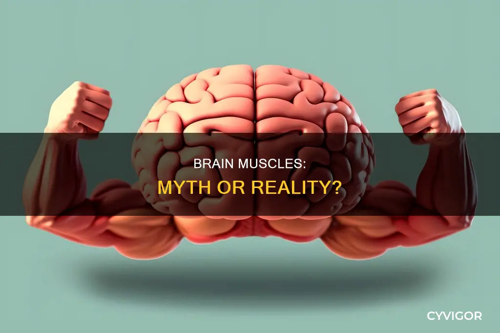 Brain Muscles: Myth Or Reality? | CyVigor