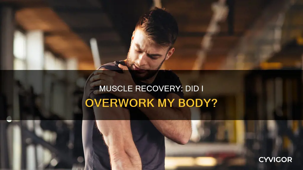 Muscle Recovery: Did I Overwork My Body? | CyVigor