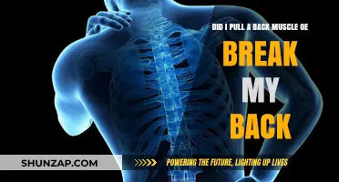 Pelvic Pain: Understanding Muscle Strains And Potential Causes | CyVigor