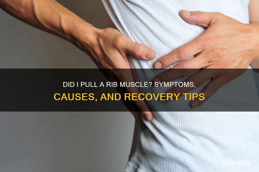 Did I Pull A Rib Muscle? Symptoms, Causes, And Recovery Tips | CyVigor