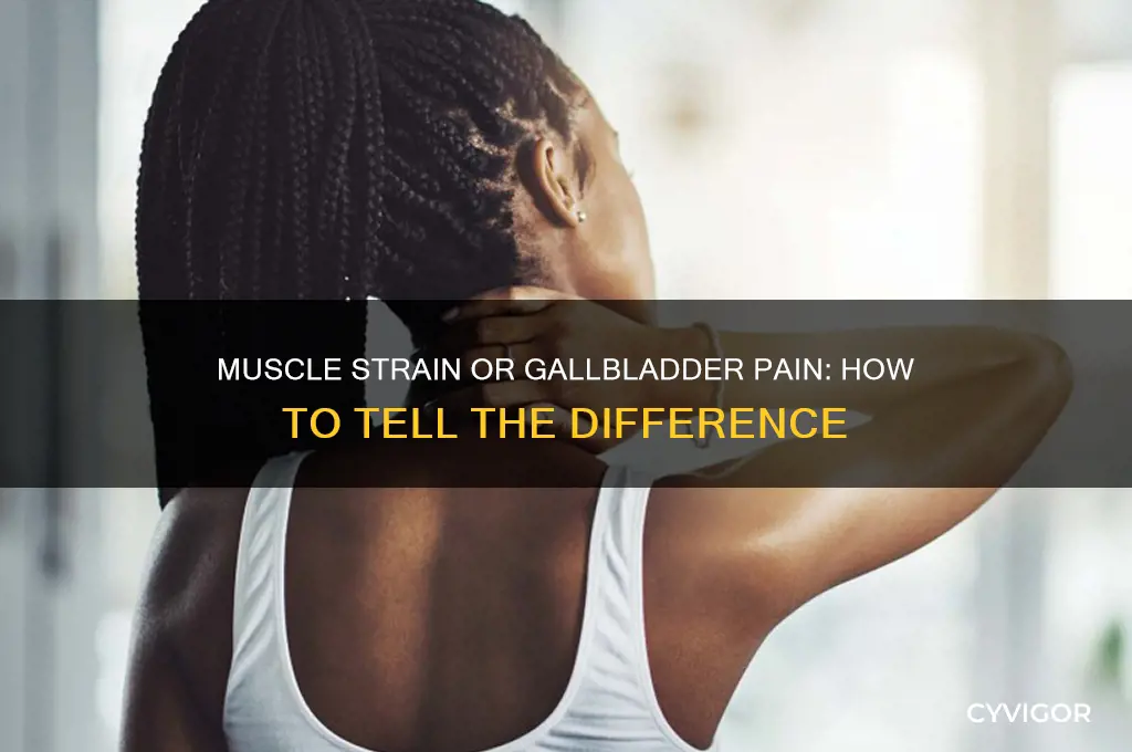Muscle Strain Or Gallbladder Pain: How To Tell The Difference | CyVigor