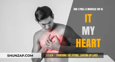 Rib Pain: Break Or Strain? How To Tell The Difference | CyVigor