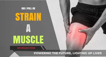 Pelvic Pain: Understanding Muscle Strains And Potential Causes | CyVigor