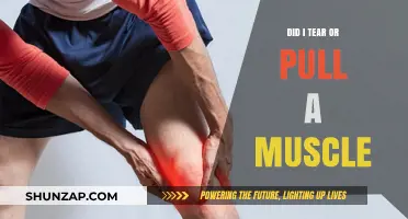 Muscle Strain Or Kidney Pain: How To Tell The Difference | CyVigor