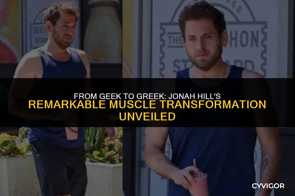 From Geek To Greek: Jonah Hill's Remarkable Muscle Transformation ...