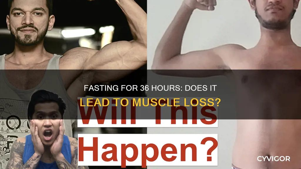 Fasting For 36 Hours: Does It Lead To Muscle Loss? | CyVigor