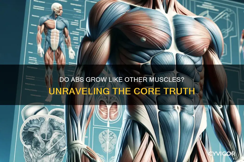 Do Abs Grow Like Other Muscles? Unraveling The Core Truth | CyVigor