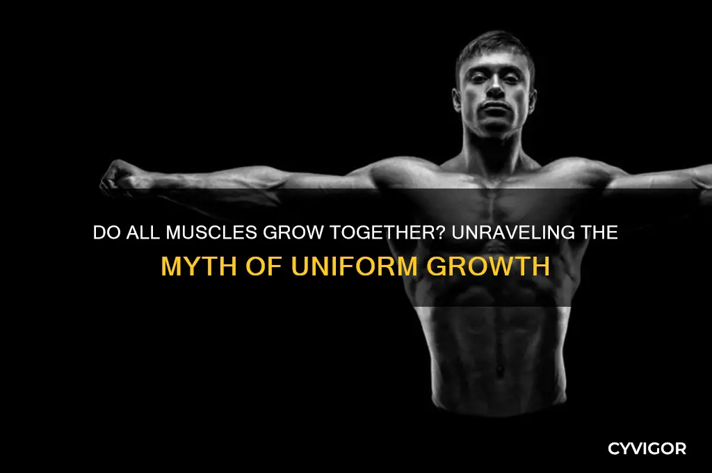 Do All Muscles Grow Together? Unraveling The Myth Of Uniform Growth ...