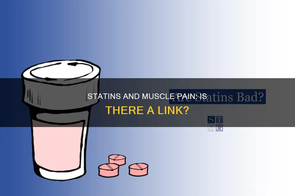 Statins And Muscle Pain: Is There A Link? | CyVigor