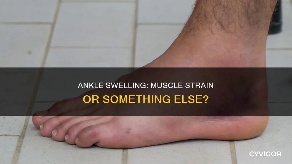 Ankle Swelling: Muscle Strain Or Something Else? | CyVigor