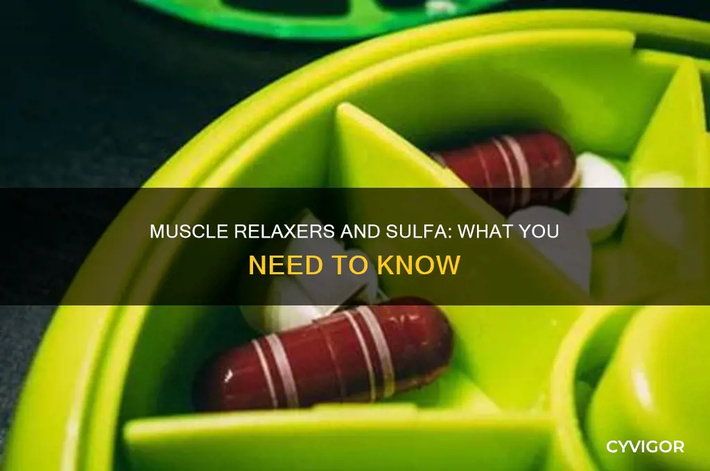 Muscle Relaxers And Sulfa: What You Need To Know | CyVigor