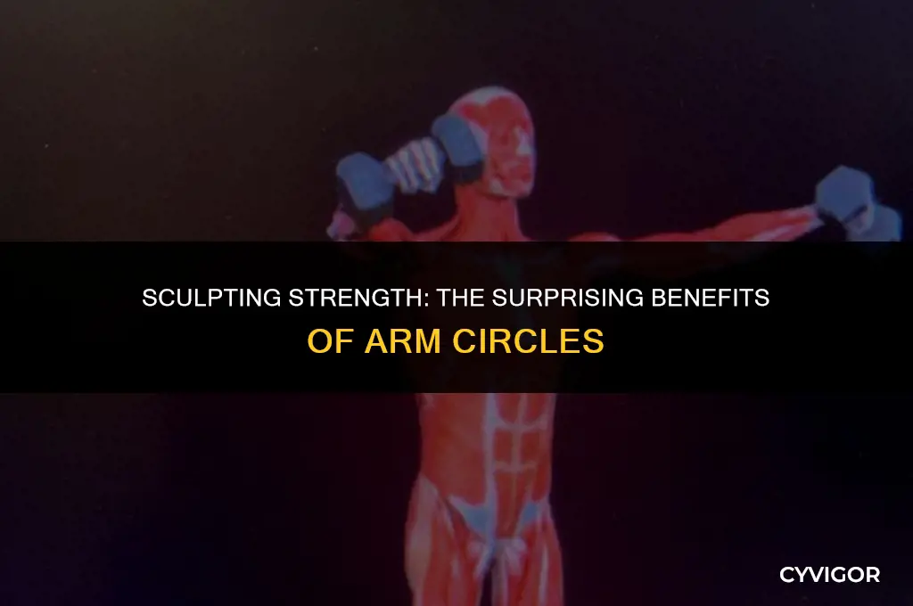 Sculpting Strength: The Surprising Benefits Of Arm Circles | CyVigor