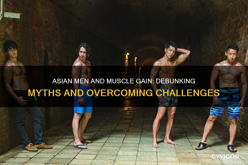 Asian Men And Muscle Gain: Debunking Myths And Overcoming Challenges ...