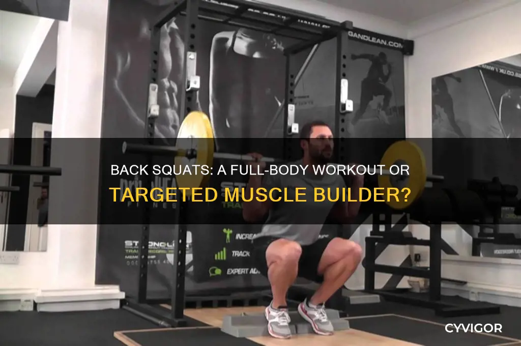 Back Squats: A Full-Body Workout Or Targeted Muscle Builder? | CyVigor