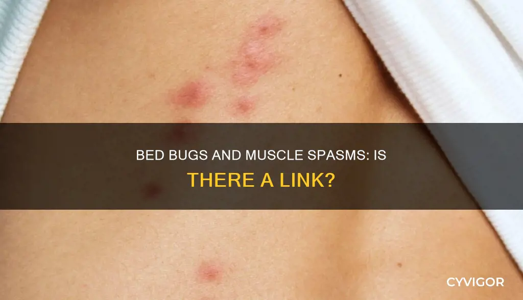 Bed Bugs And Muscle Spasms: Is There A Link? | CyVigor