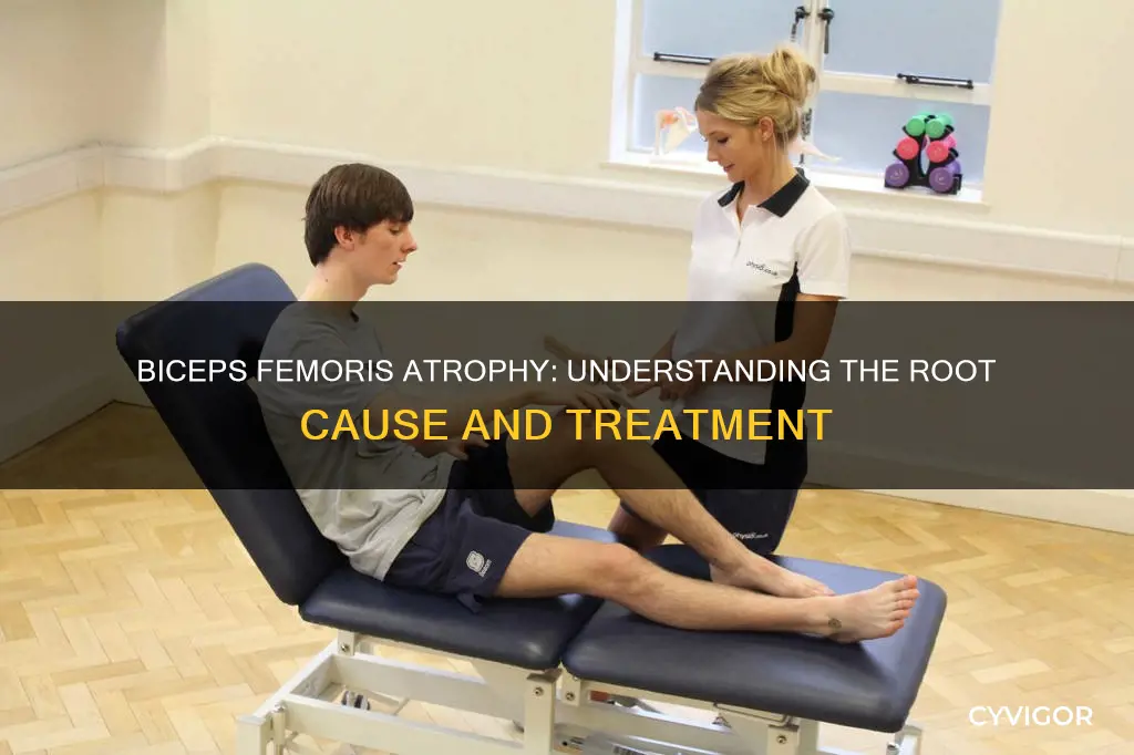 Biceps Femoris Atrophy: Understanding The Root Cause And Treatment ...
