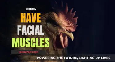 How Bones And Muscles Work Together | CyVigor