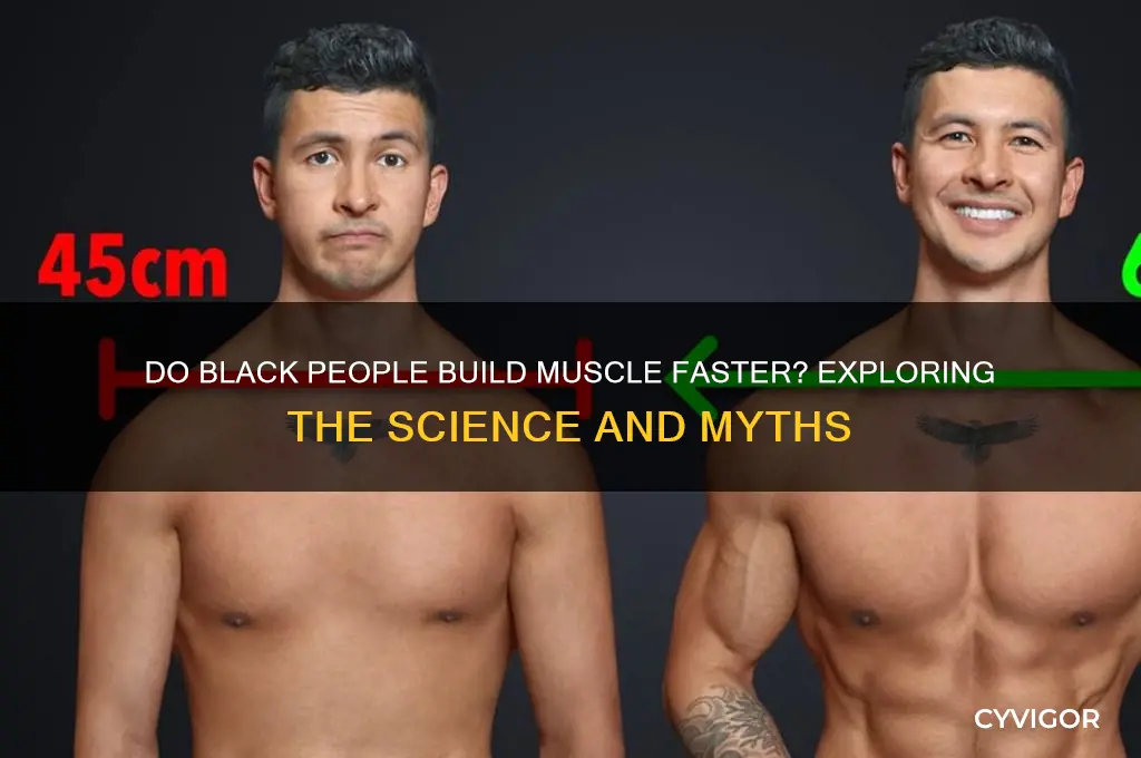 Do Black People Build Muscle Faster? Exploring The Science And Myths ...