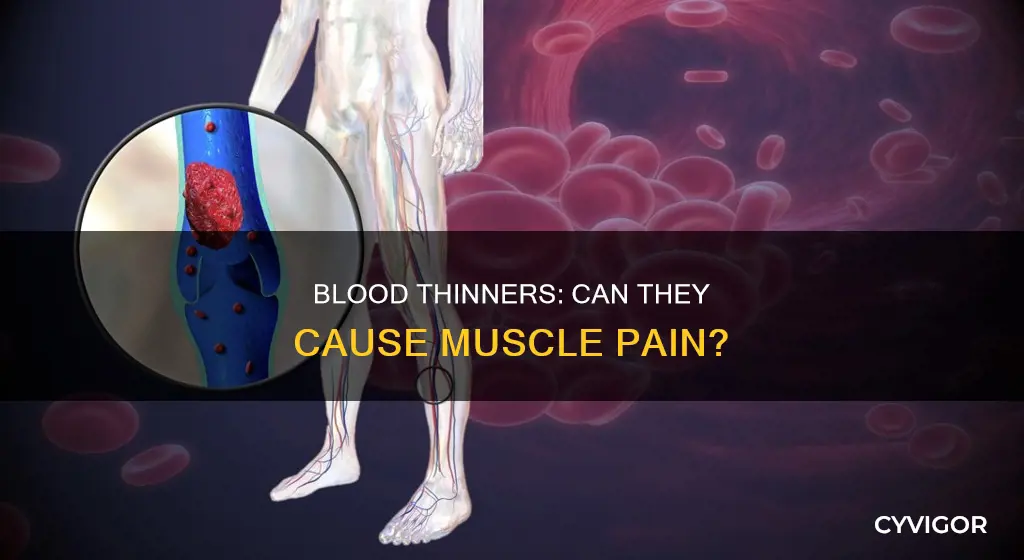 Blood Thinners: Can They Cause Muscle Pain? | CyVigor