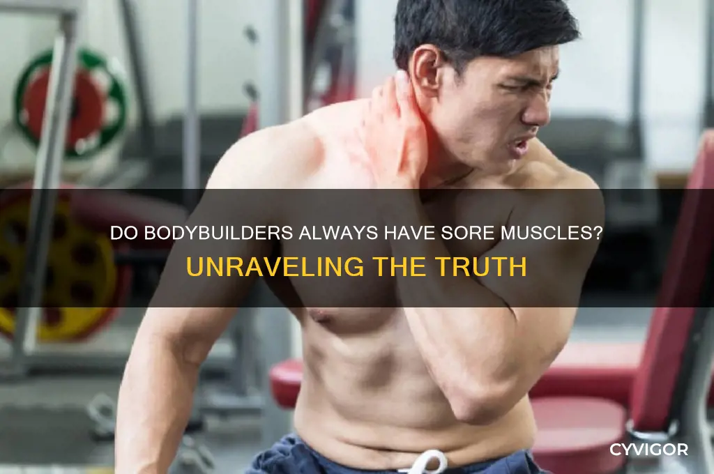 Do Bodybuilders Always Have Sore Muscles? Unraveling The Truth | CyVigor