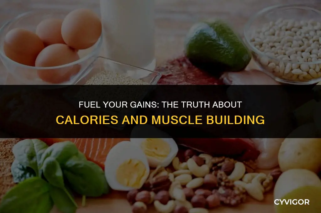Fuel Your Gains: The Truth About Calories And Muscle Building | CyVigor