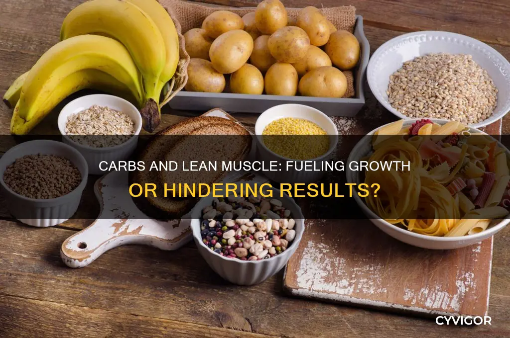 Carbs And Lean Muscle: Fueling Growth Or Hindering Results? | CyVigor