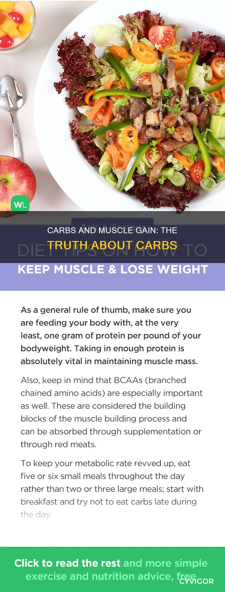 Carbs And Muscle Gain: The Truth About Carbs | CyVigor