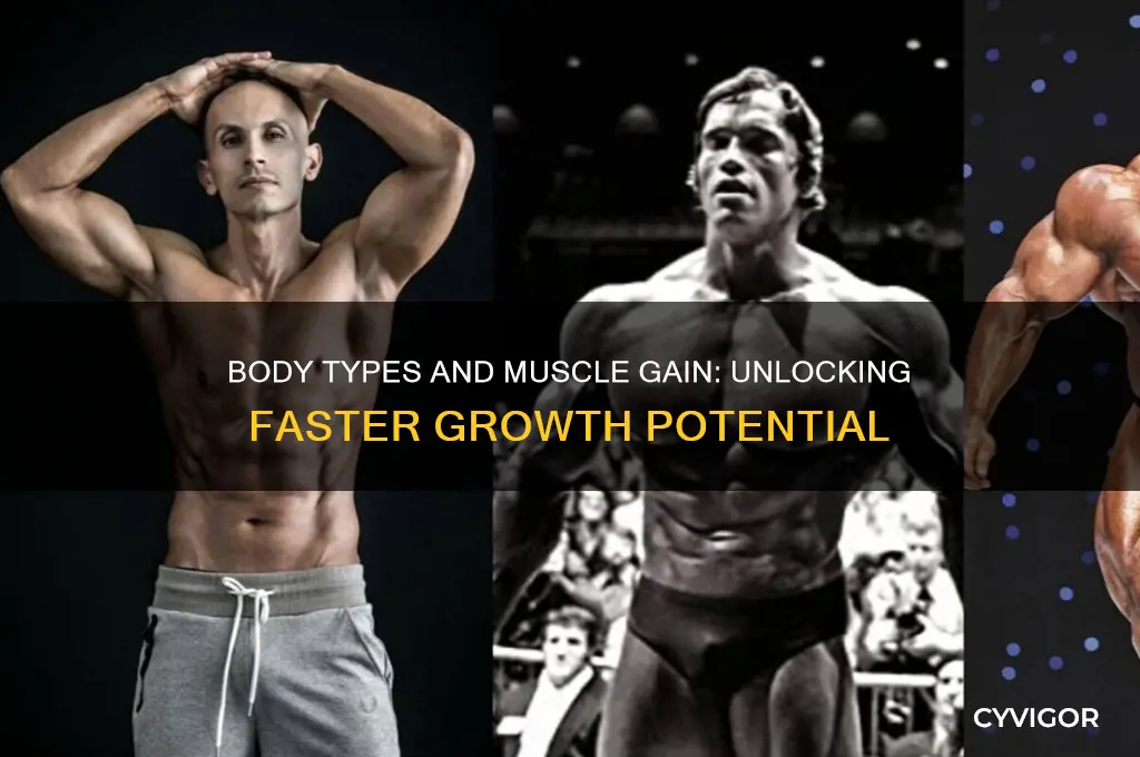 Body Types And Muscle Gain: Unlocking Faster Growth Potential | CyVigor