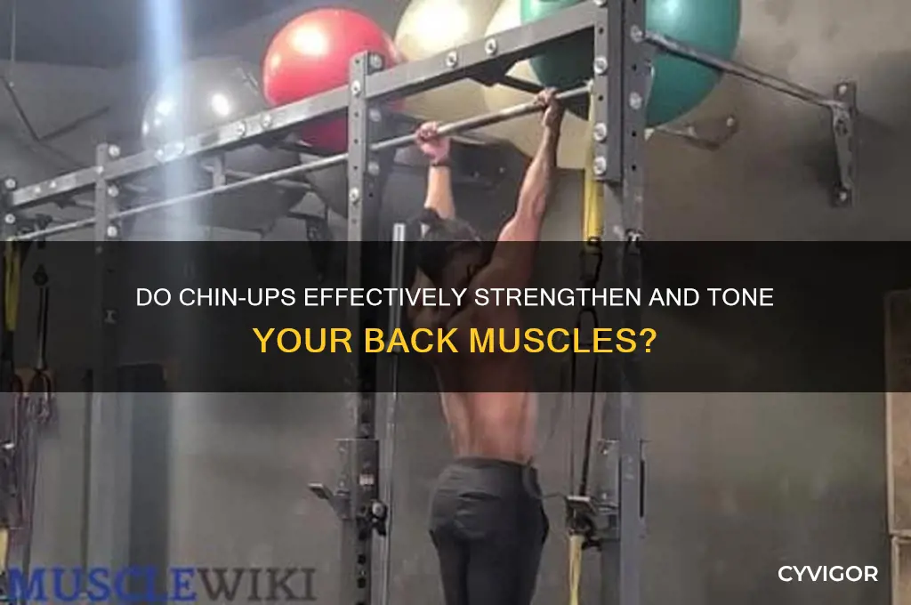 Do Chin-Ups Effectively Strengthen And Tone Your Back Muscles? | CyVigor
