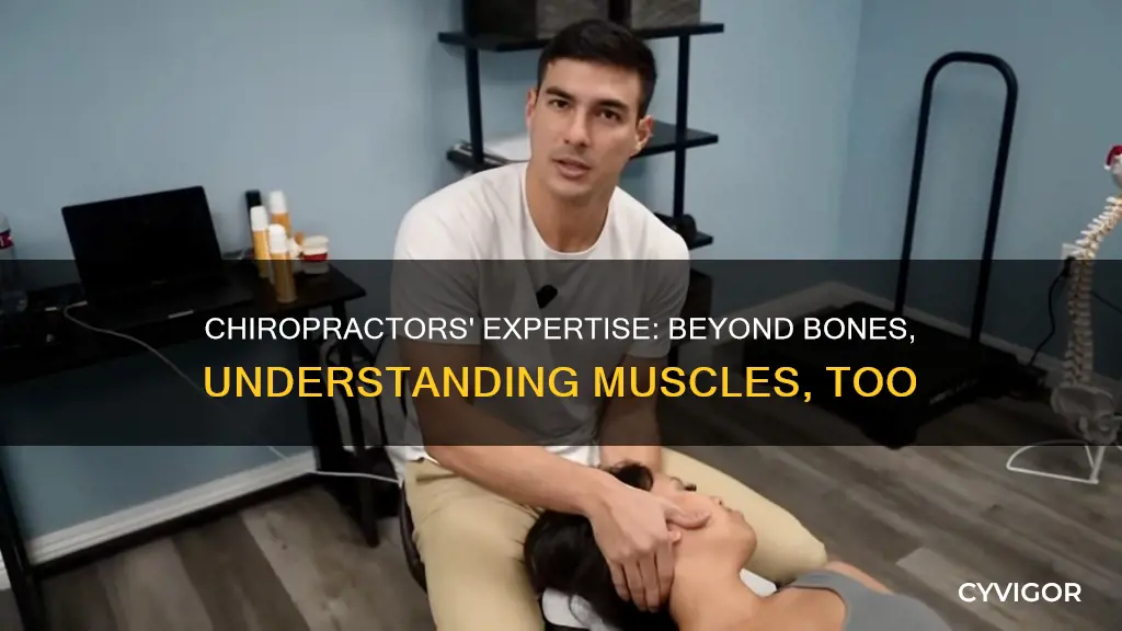 Chiropractors' Expertise: Beyond Bones, Understanding Muscles, Too ...