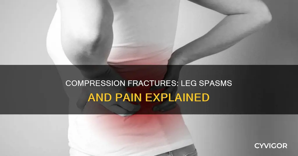 Compression Fractures: Leg Spasms And Pain Explained | CyVigor