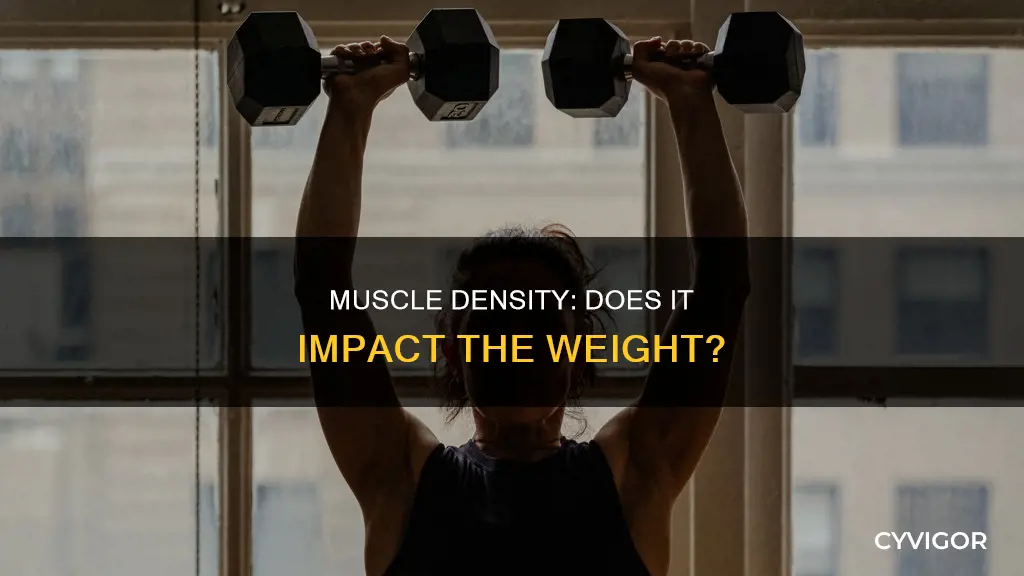 Muscle Density: Does It Impact The Weight? | CyVigor