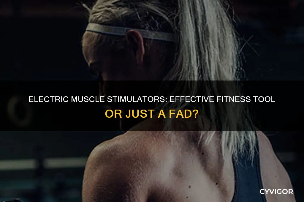 Electric Muscle Stimulators: Effective Fitness Tool Or Just A Fad ...