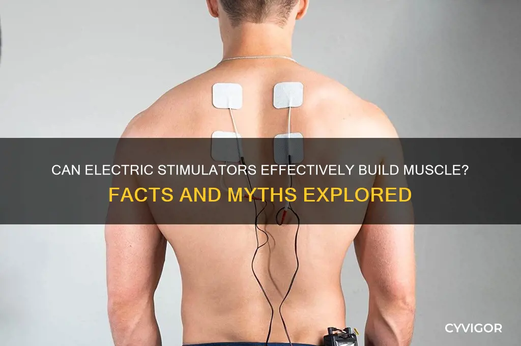 Can Electric Stimulators Effectively Build Muscle? Facts And Myths ...
