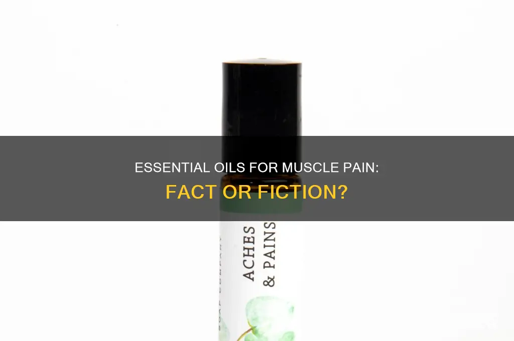 Essential Oils For Muscle Pain: Fact Or Fiction? | CyVigor