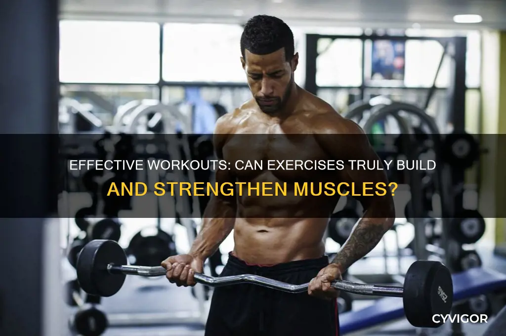 Effective Workouts: Can Exercises Truly Build And Strengthen Muscles ...
