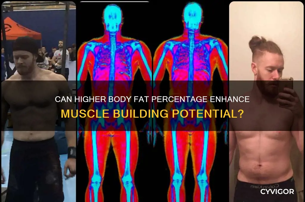 Can Higher Body Fat Percentage Enhance Muscle Building Potential? | CyVigor