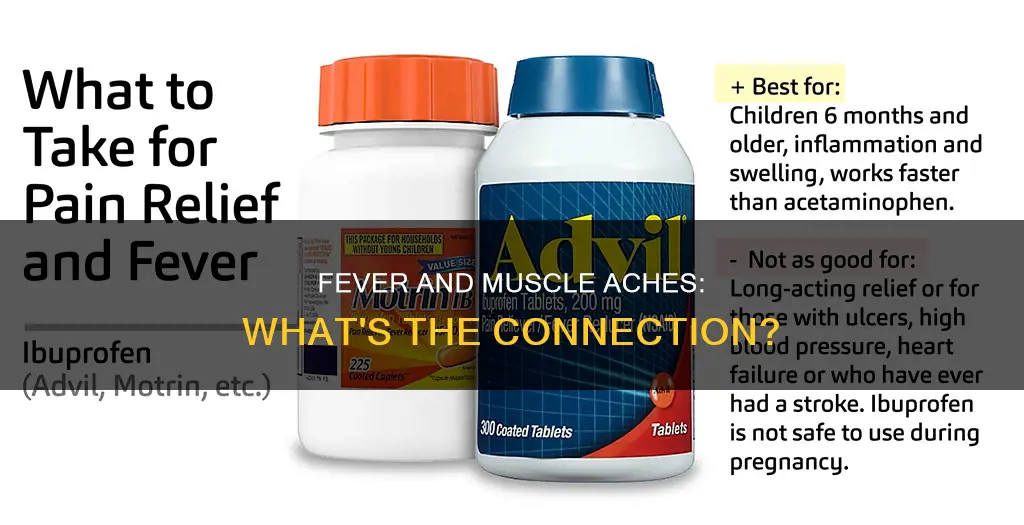 Fever And Muscle Aches: What's The Connection? | CyVigor